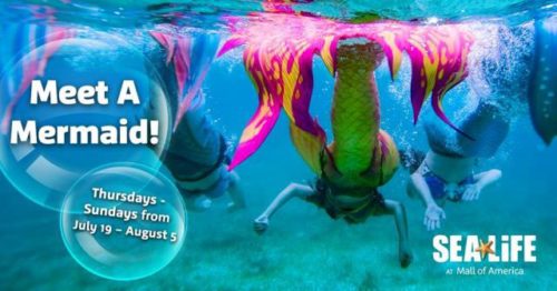 Mermaids at the Sea Life Aquarium at the Mall of America (through ...