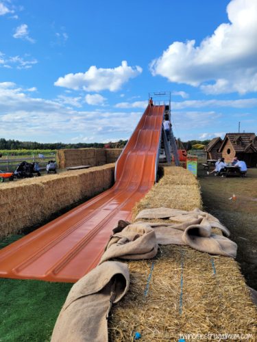 How to Save on Fall Fun at Pinehaven Farm in Wyoming, MN (2025) - Twin ...