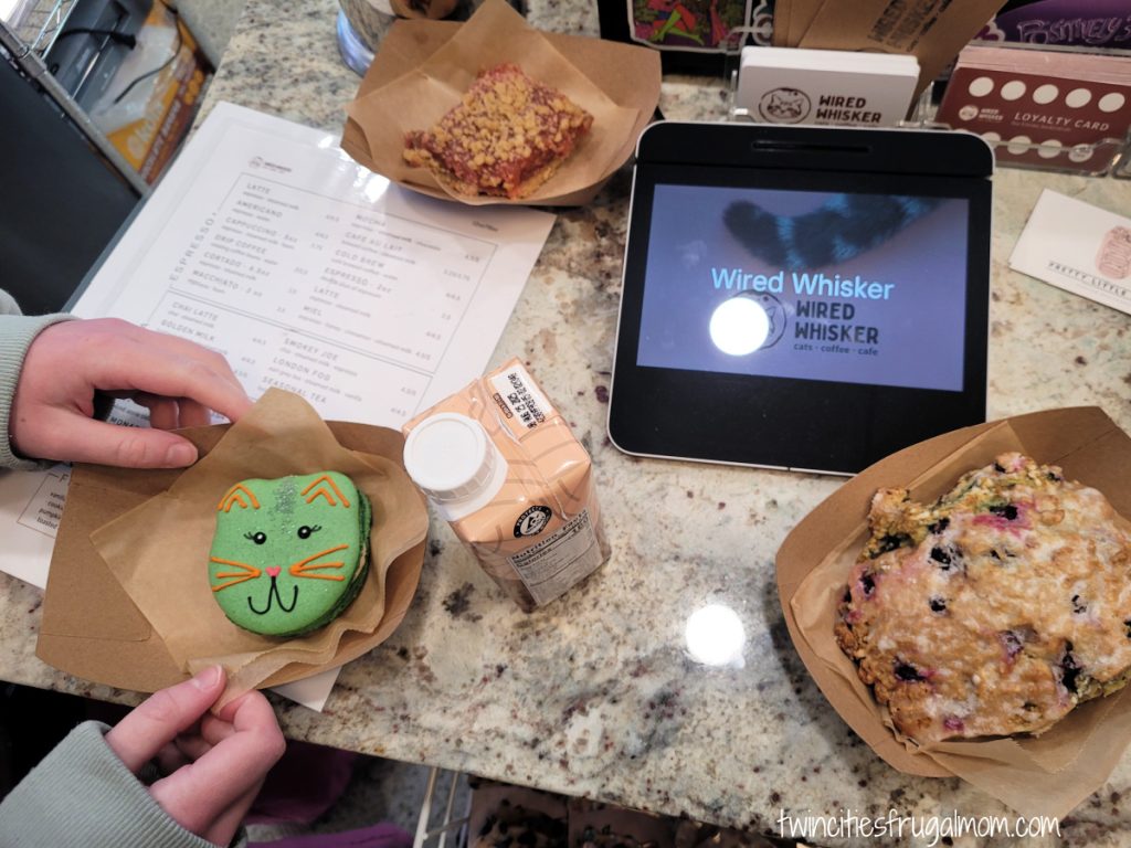 Paws, Purrs, and Perfect Lattes: A Visit to Wired Whisker Cat Café in ...